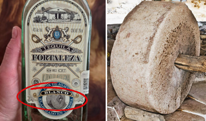 The Best Types Of Tequila You Should Drink | MEXLocal