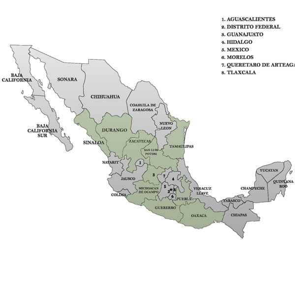 Mezcal Expert Guide: 'The Elixir of the Gods' - MEXLocal