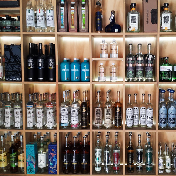 Mezcal Expert Guide: 'The Elixir of the Gods' - MEXLocal